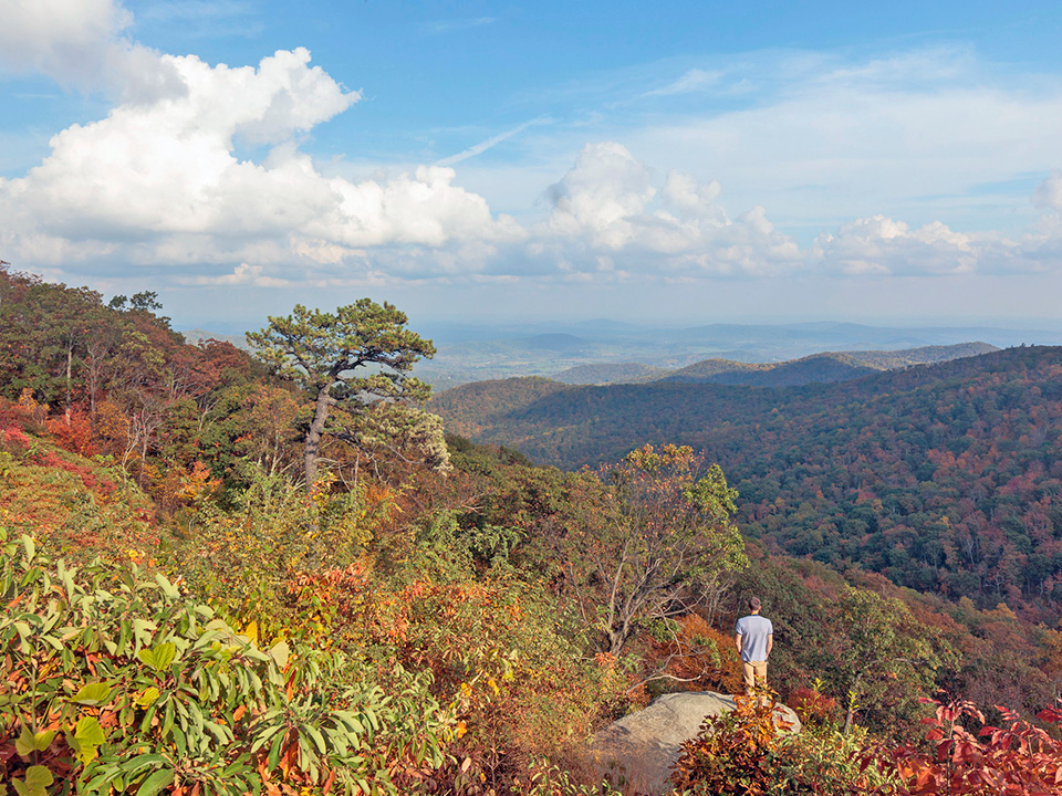 Fall Foliage Flash of Color - Luray Caverns
